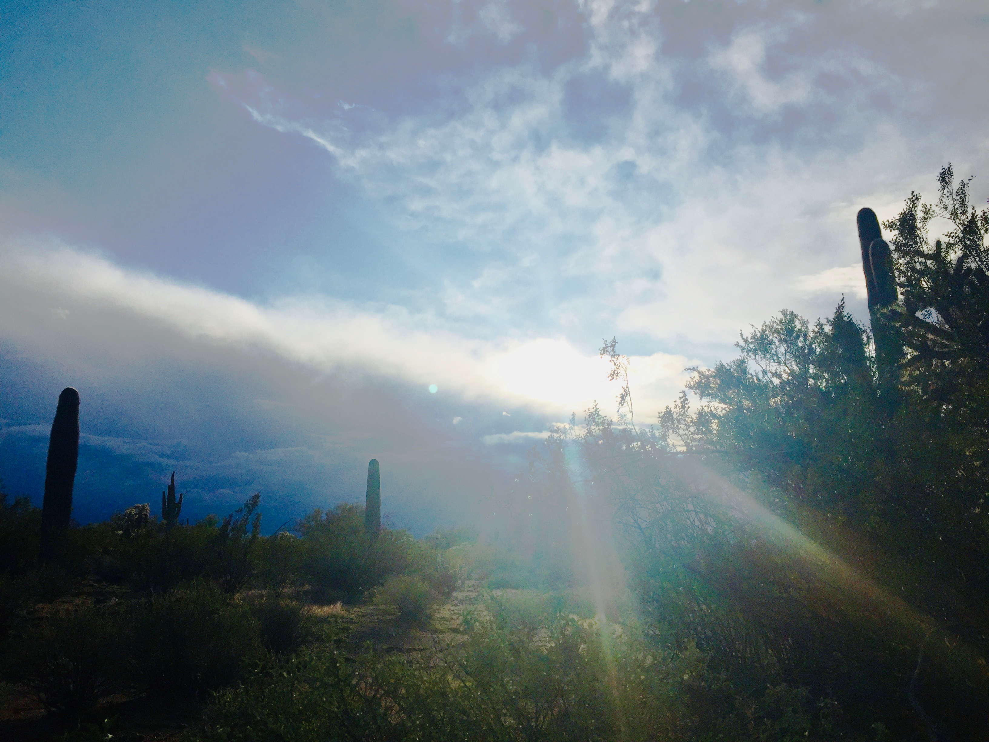 The Numinous Forces of the Spirt-World: Healing Shamanic Journeys ...
